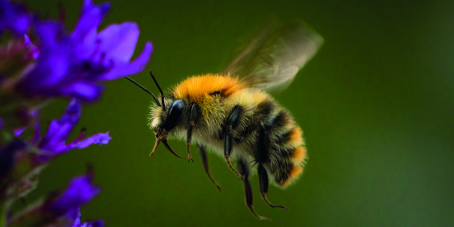 Liquid Gold | Hand Picked Magazine